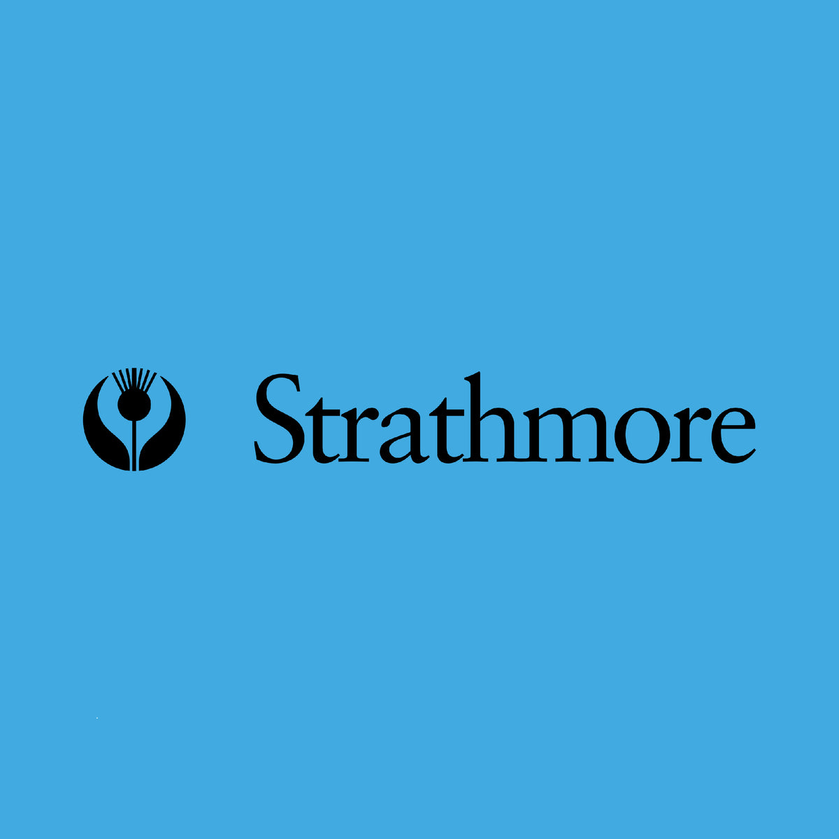 Strathmore – Page 3 – Gwartzman's Art Supplies