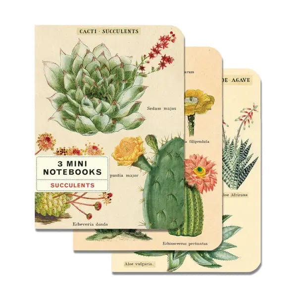 Cavallini & Co. - 3 Mini Notebooks - Succulents | Gwartzman's ...