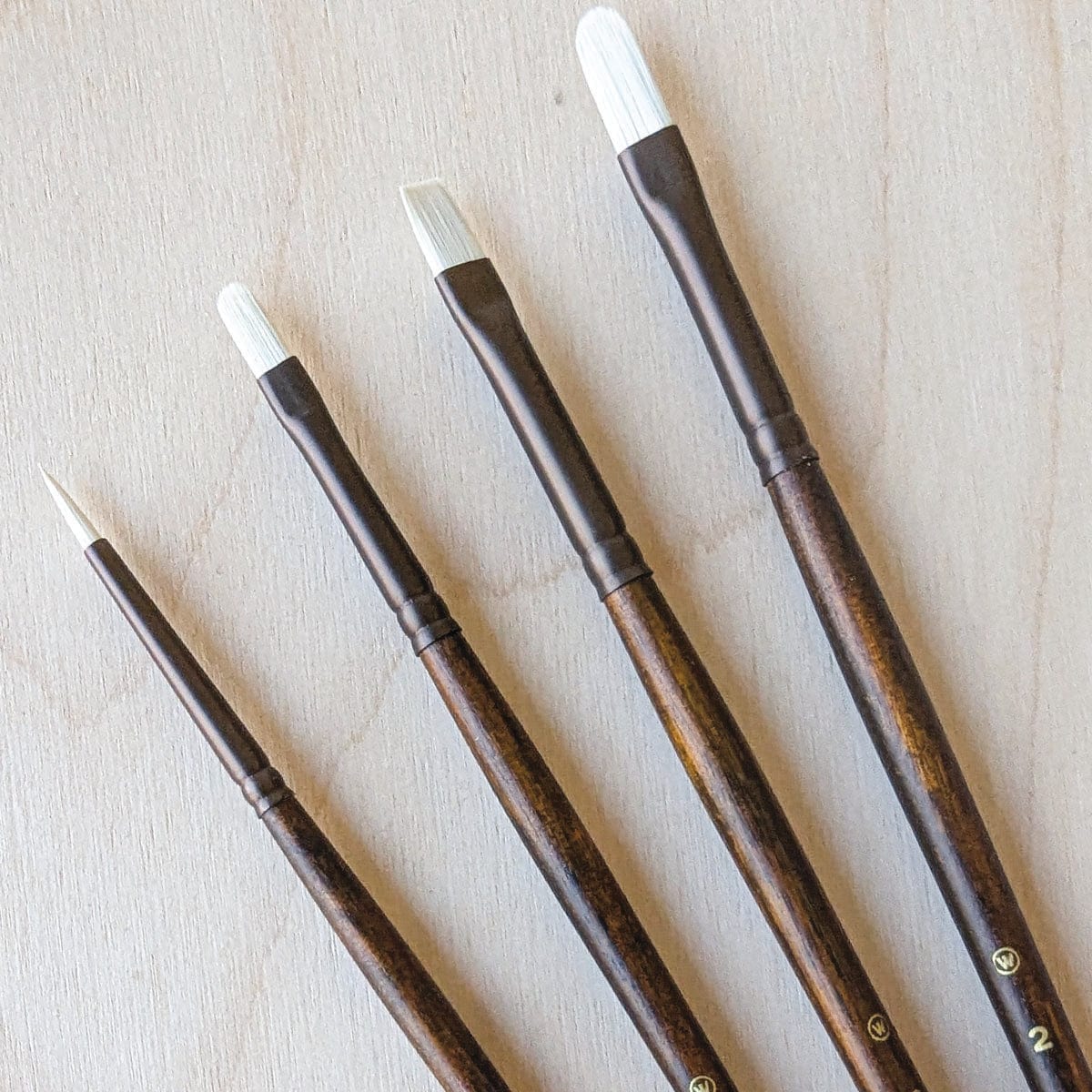 Willow Wolfe - Seneca - Master Artist Series: Carla Grace - 4 Brushes ...