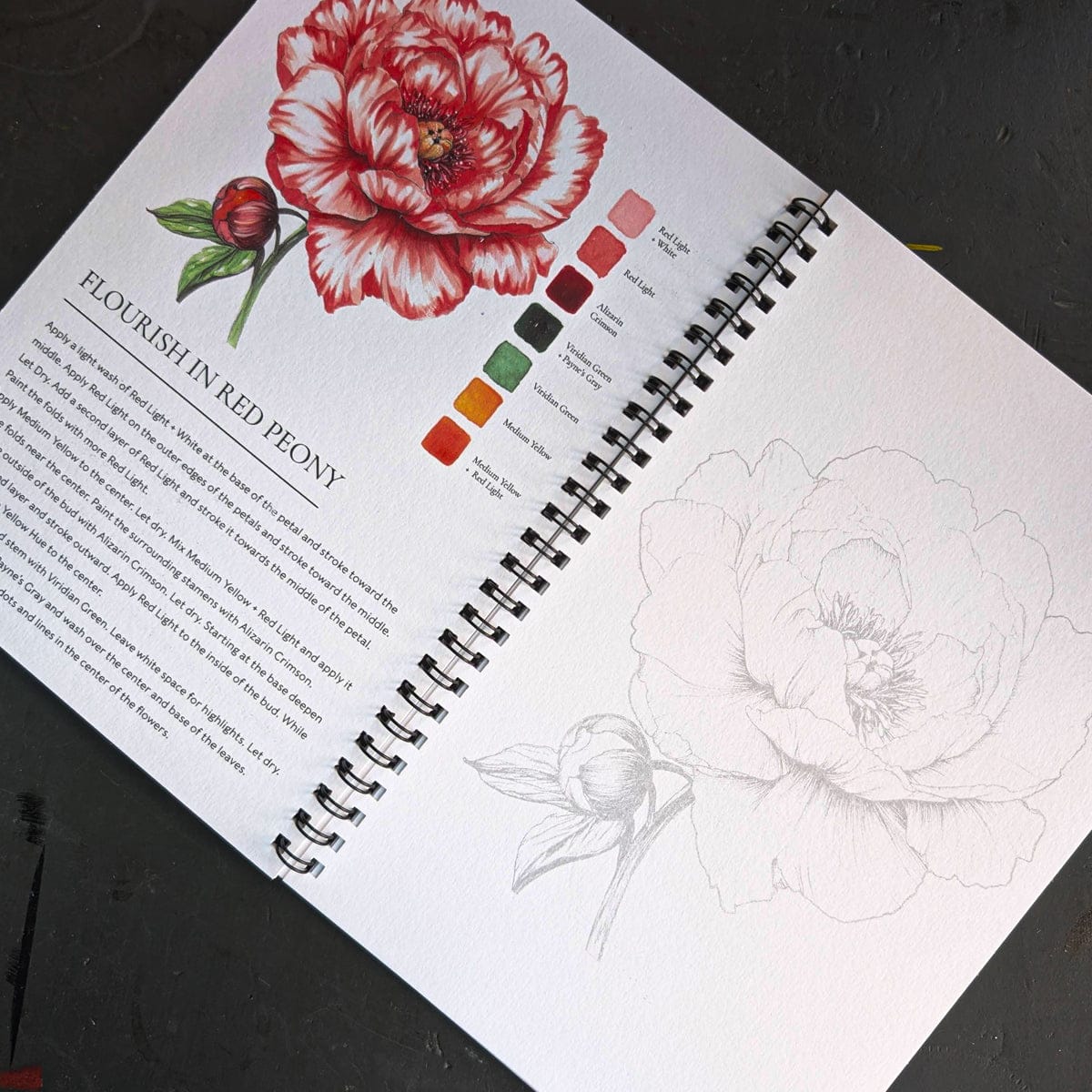 Willow Wolfe - Watercolor Painting Workbook - Bold Florals – Gwartzman ...