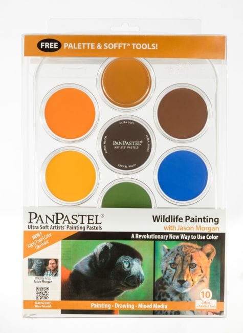 PanPastel - Artist Pastels - Wildlife Painting - 10 Colour Palette ...
